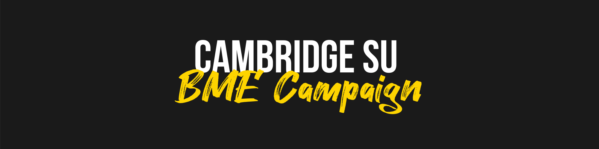 BME Campaign Website